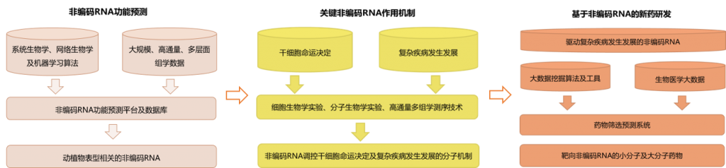 研究方向 – 余华课题组